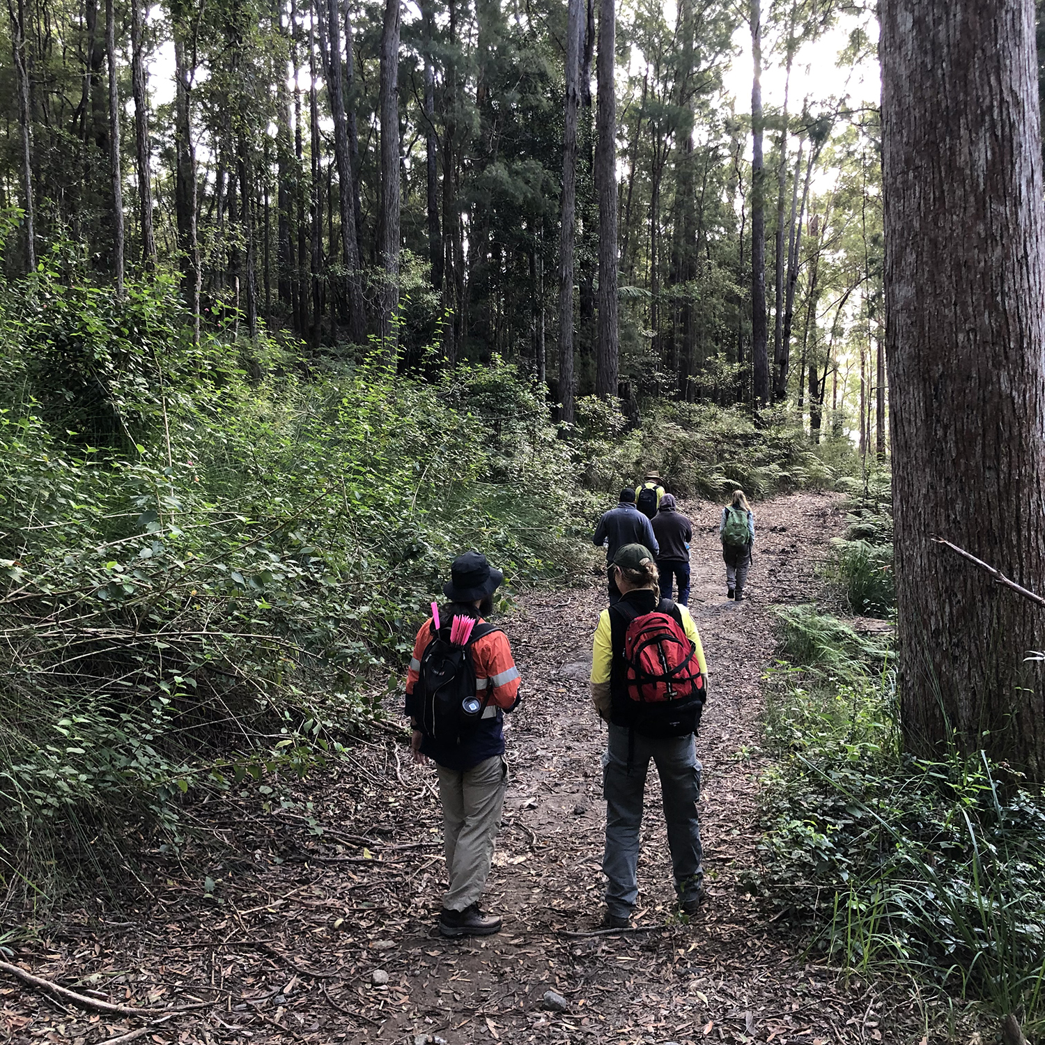 Virtus Heritage | Archaeology and Cultural Heritage Careers